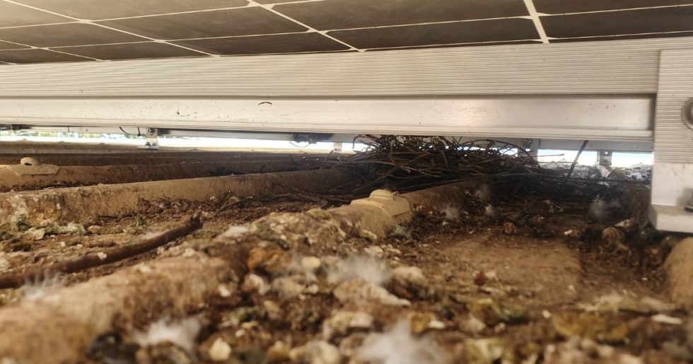 How to Clean Under Solar Panels | Proven Energy